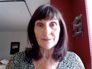 The Wisdom of Dreams – Ingrid Rose - Process Work Institute