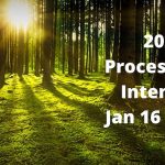 Process Work Institute