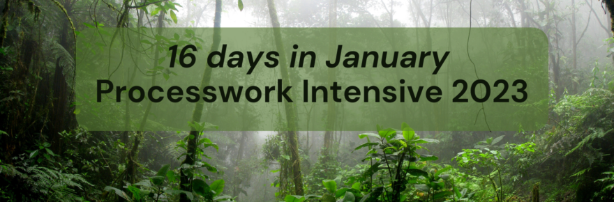 Process Work Institute