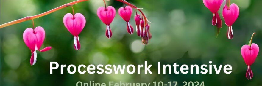 Process Work Institute